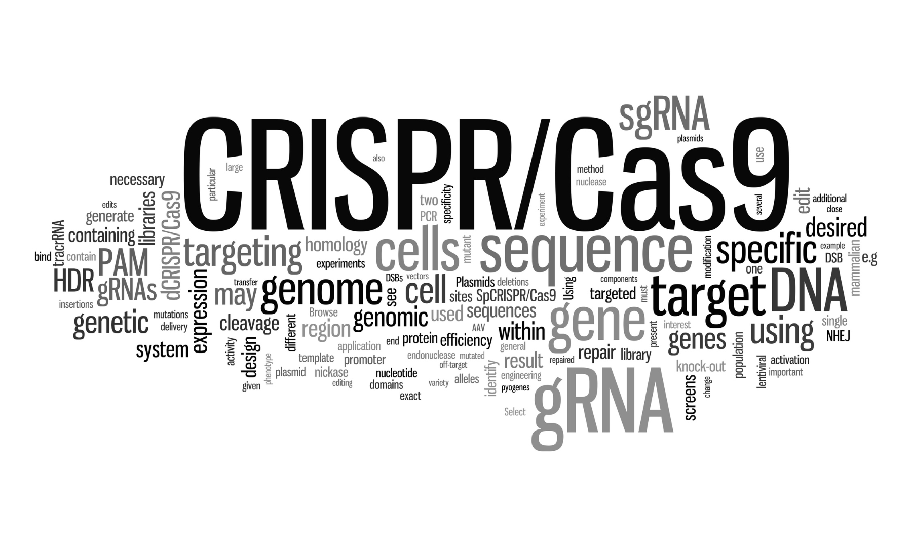 The world’s first gene-editing therapy to cure sickle cell d