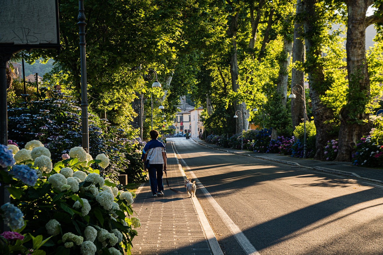 Walkable cities pave the way to a sustainable future